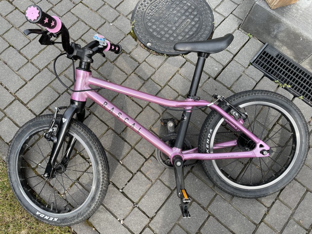 Rascal 16 - růžové | DOOKIE.cz