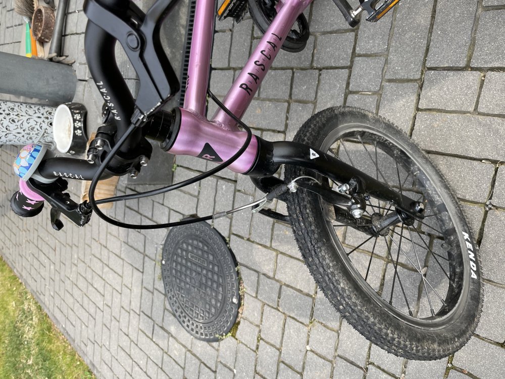 Rascal 16 - růžové | DOOKIE.cz